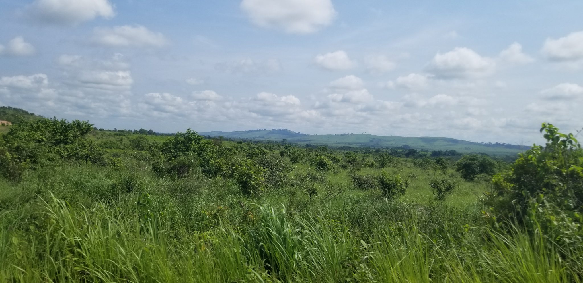 4 jours à Nkayi - Notre Aventure En Famille