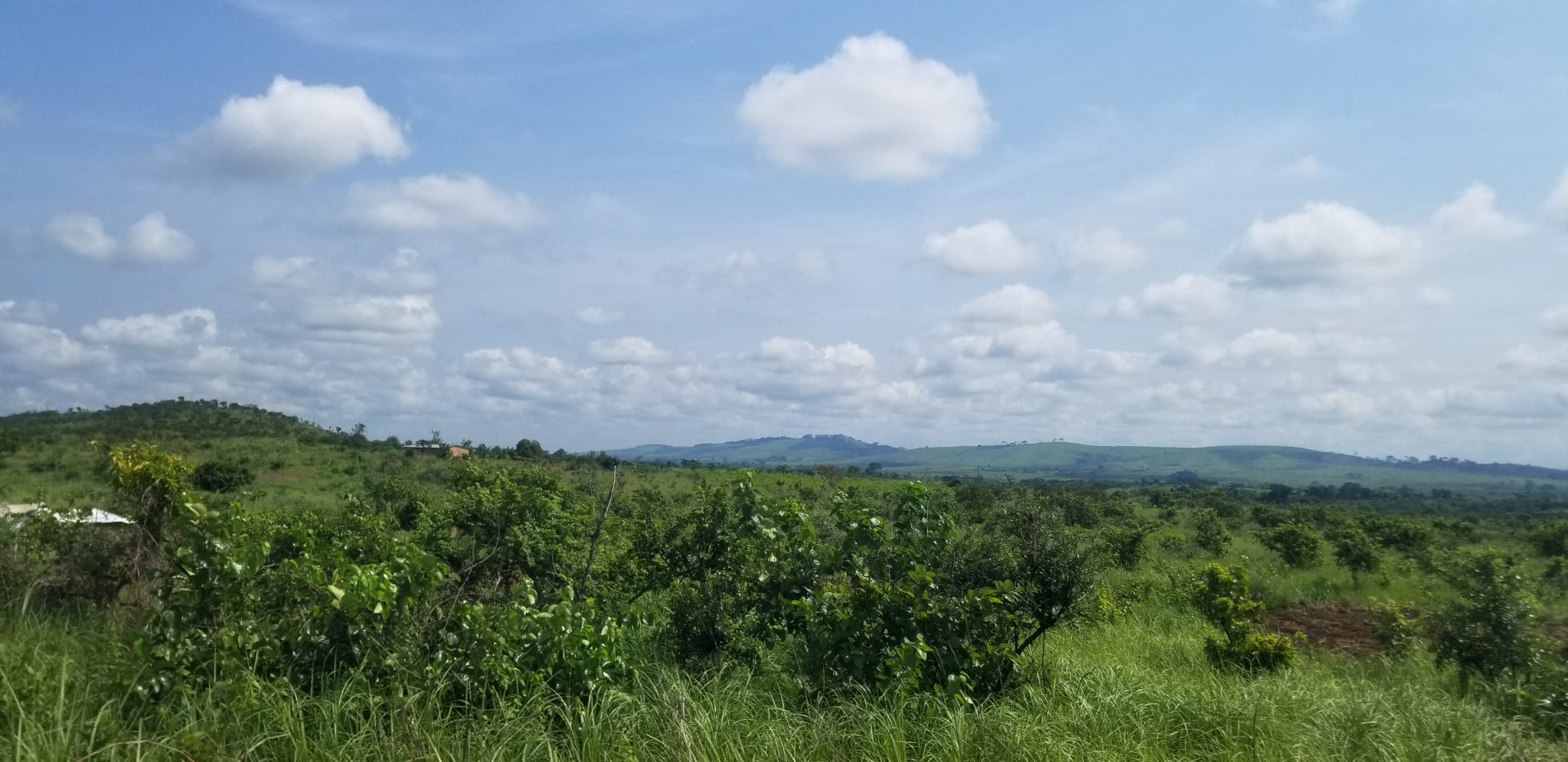 4 jours à Nkayi - Notre Aventure En Famille