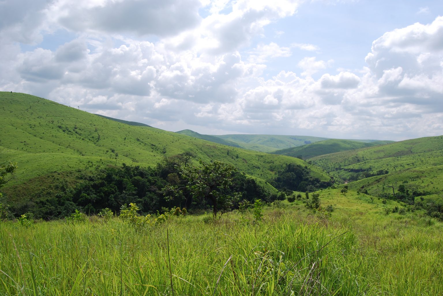 4 jours à Nkayi - Notre Aventure En Famille